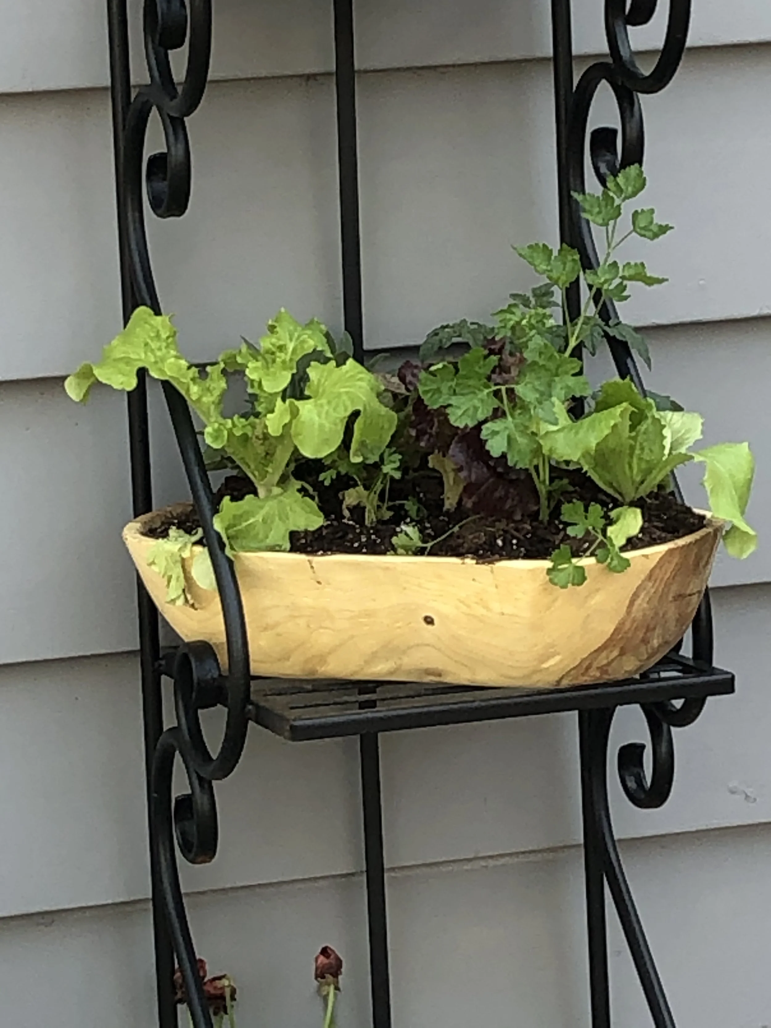 Gallery — Rob Johnstone Woodworker
