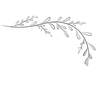 Renee Burroughs Design | Greenville, SC Wedding Florist