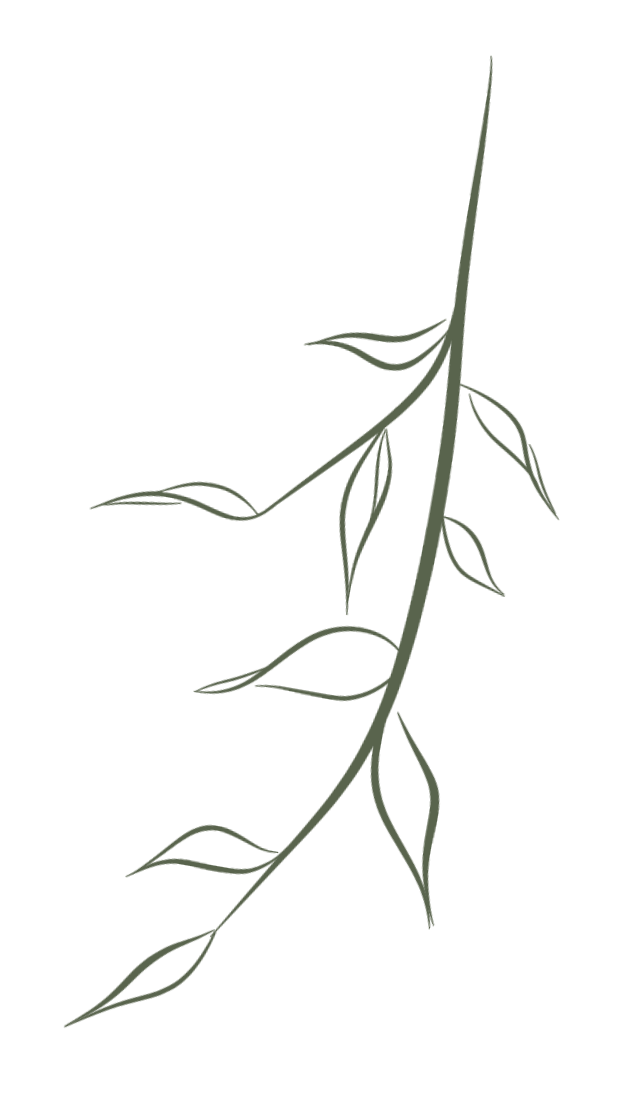 Portfolio of Florist in Greenville SC | Renee Burroughs Design