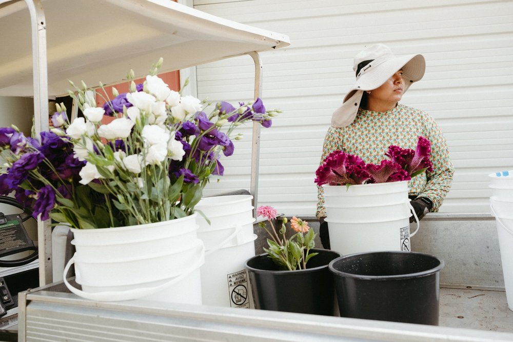 About — Delight Flower Farm