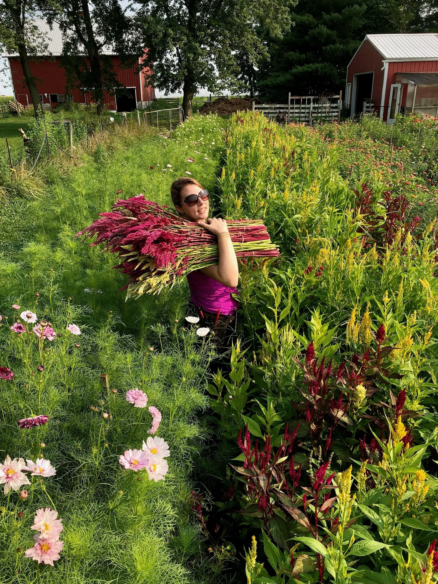 Employment & Volunteering — Delight Flower Farm