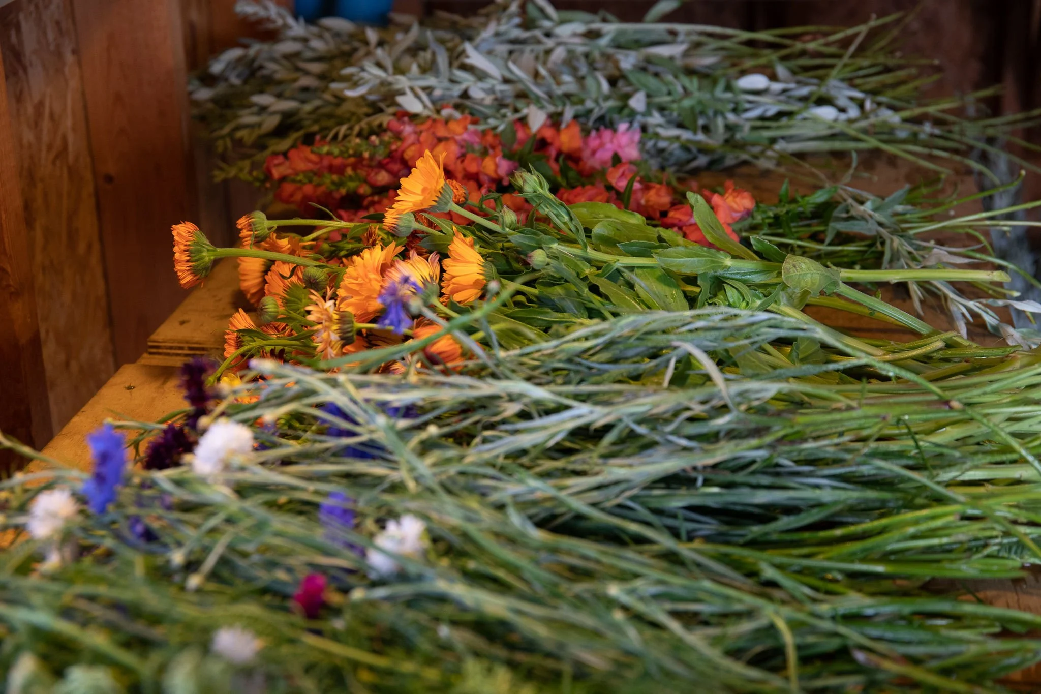 About — Delight Flower Farm