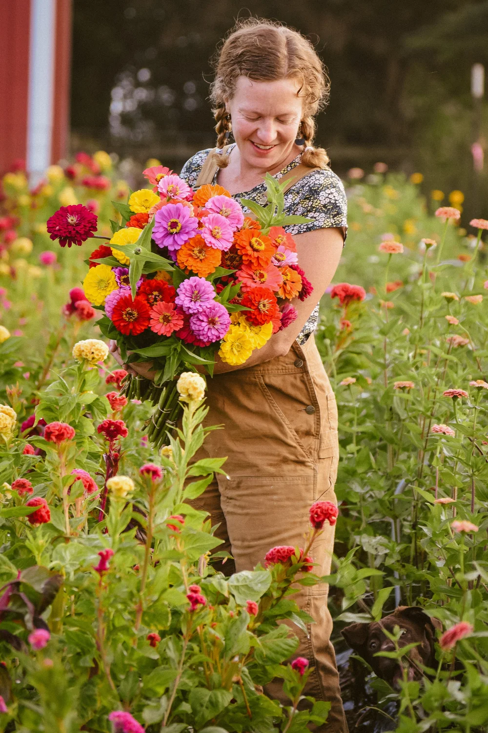 About — Delight Flower Farm