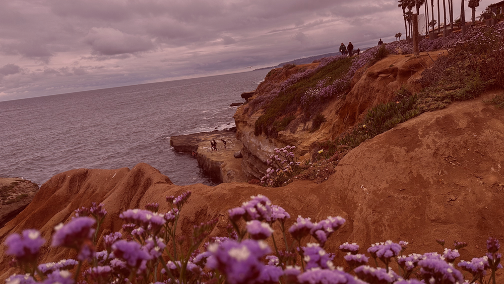 Advanced Coding Services