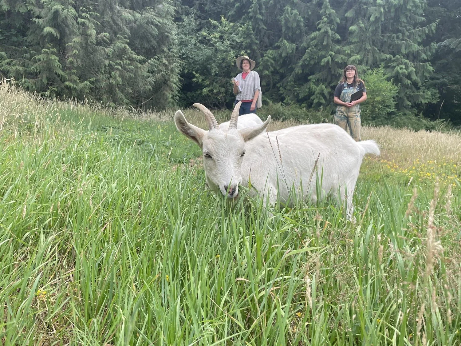 EOV Monitoring — UVE (of-ee)