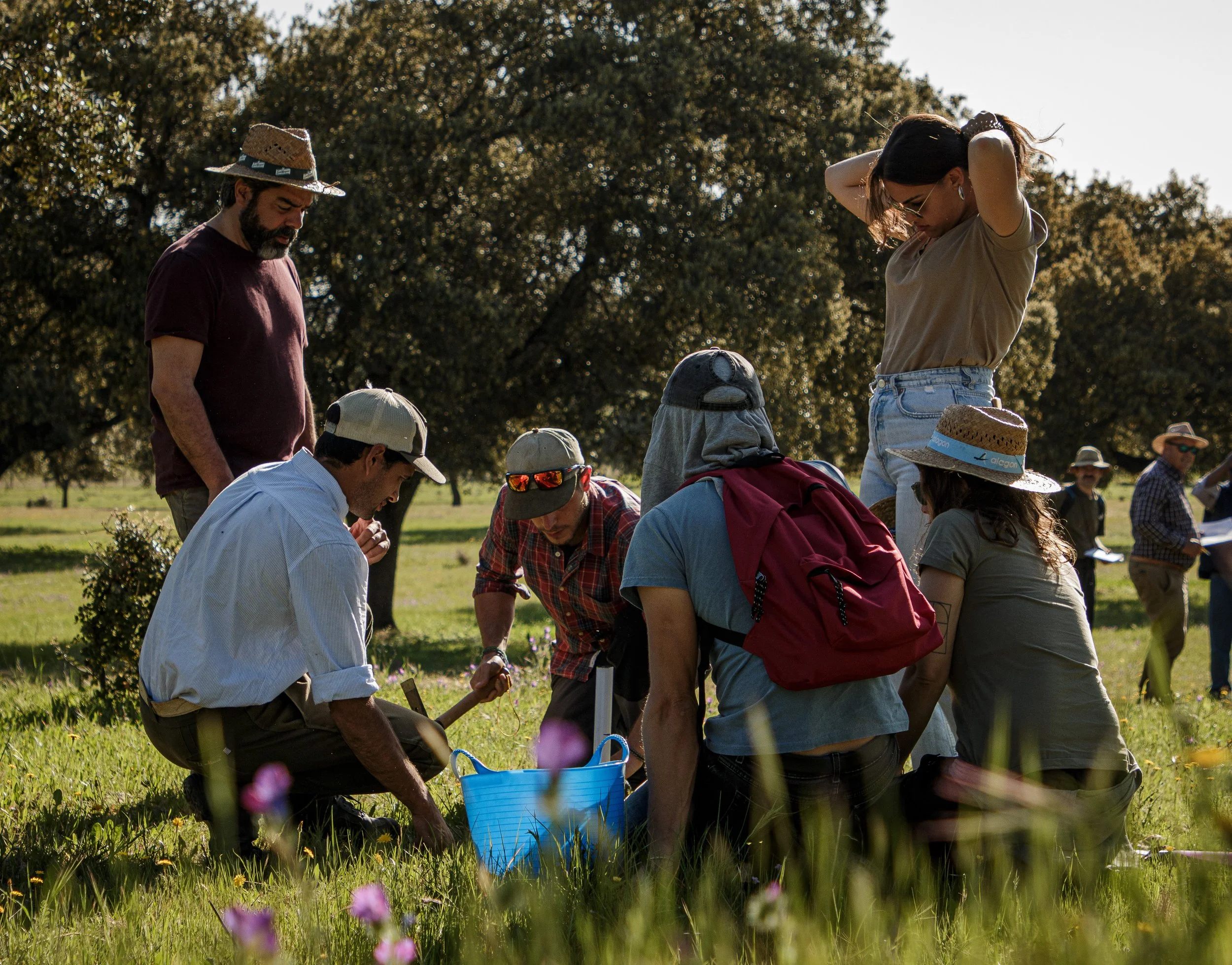 Ecological Outcome Verification Creates Openings for Change — UVE (of-ee)