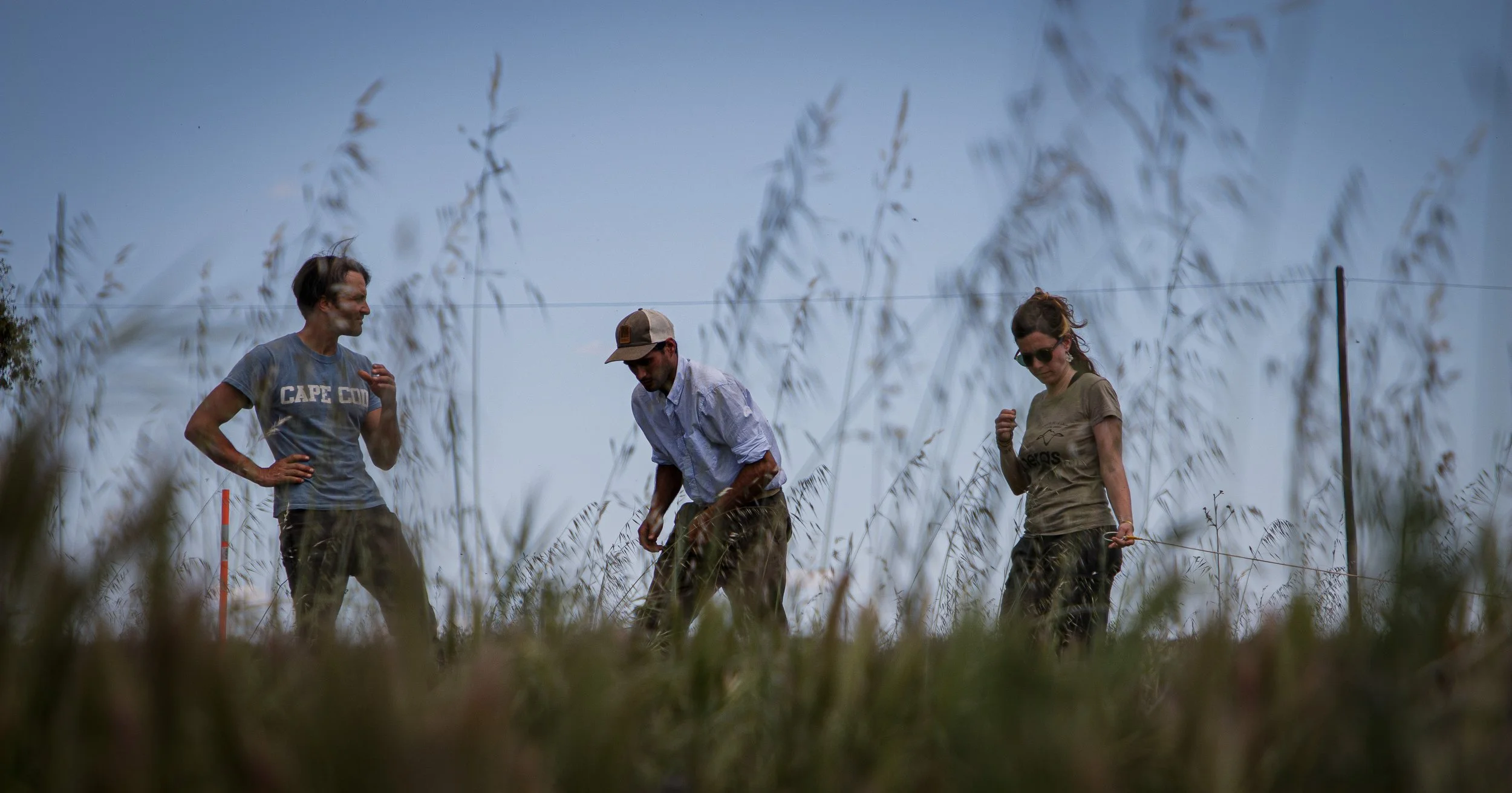 Ecological Outcome Verification Creates Openings for Change — UVE (of-ee)