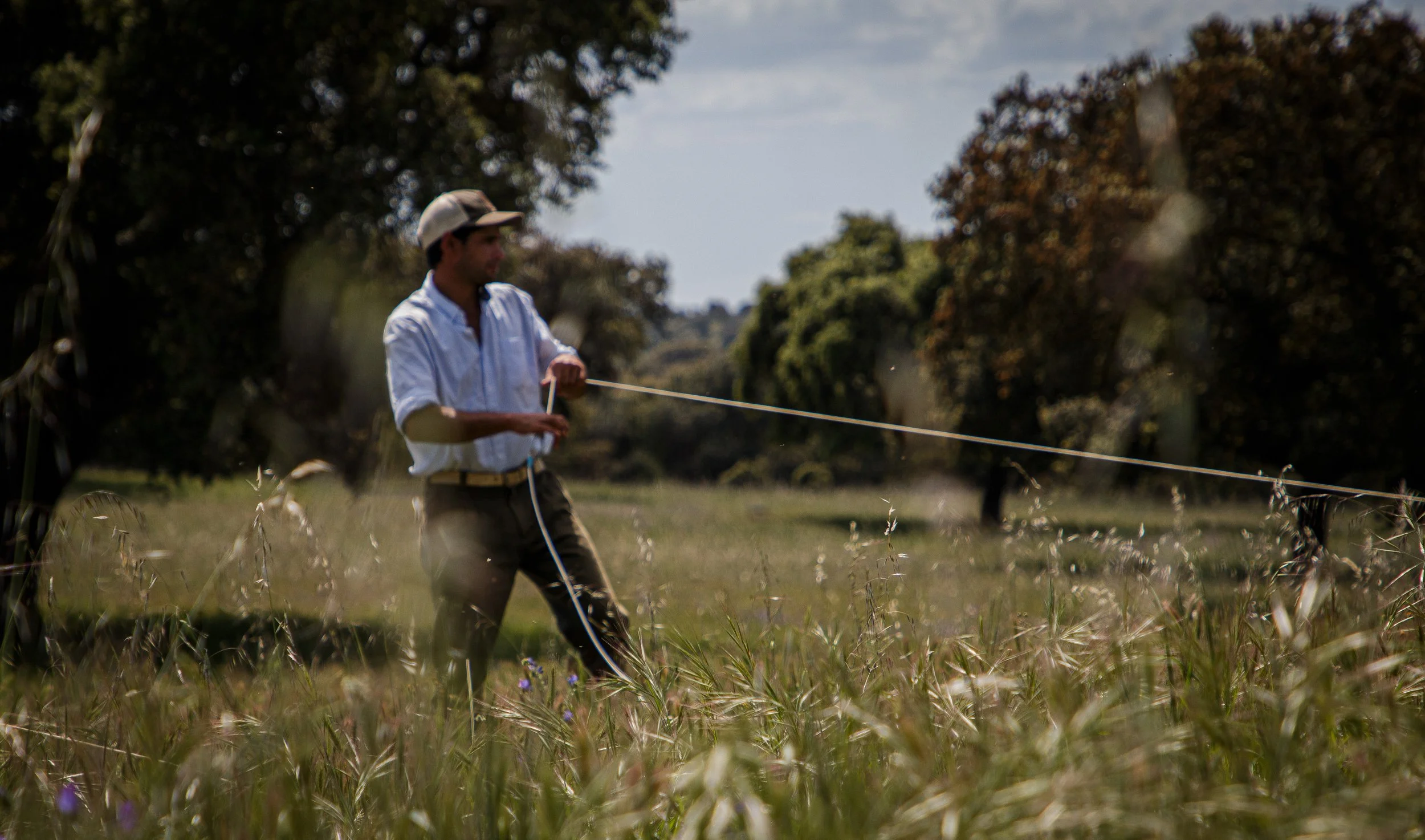 Ecological Outcome Verification Creates Openings for Change — UVE (of-ee)
