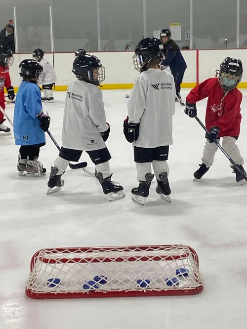 Learn to Play Hockey: Future Caps Program in Virginia — Virginia Family Fun