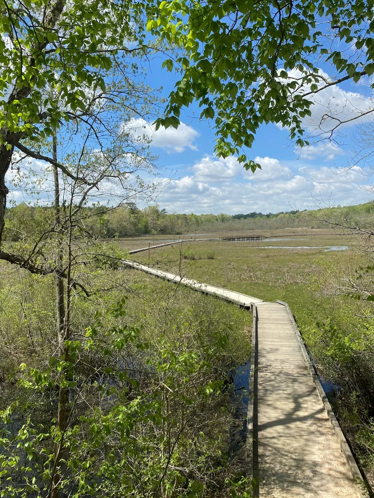 Guide to Dodd Park and Point of Rocks in Chesterfield, VA — Virginia ...