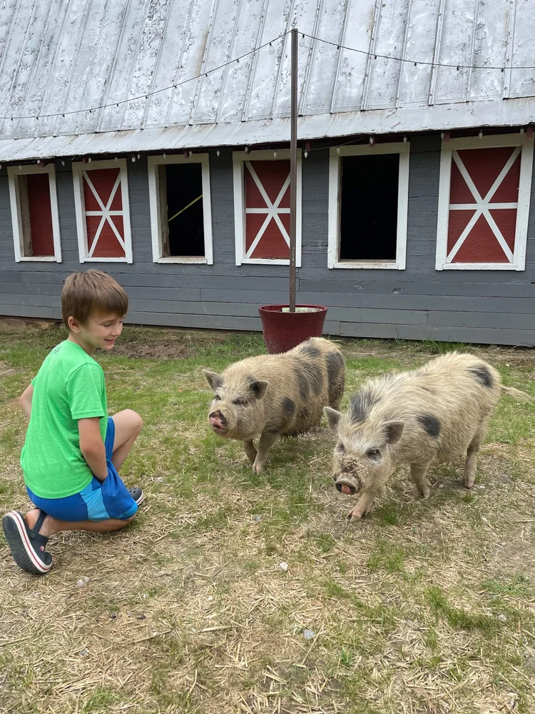 Shoofly Farm in Chester, Virginia: Must visit in RVA — Virginia Family Fun
