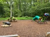 Guide to Dodd Park and Point of Rocks in Chesterfield, VA — Virginia ...