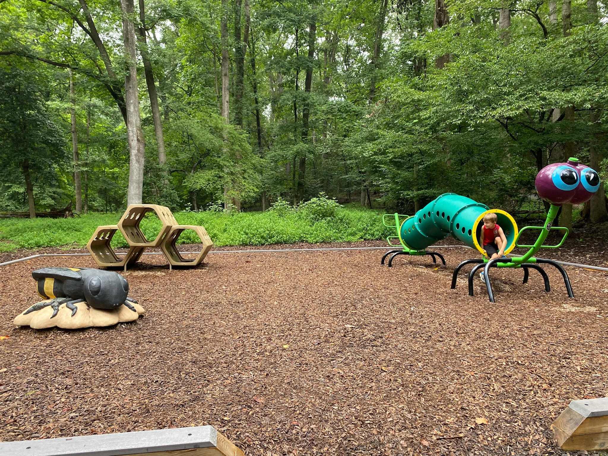 Guide to Dodd Park and Point of Rocks in Chesterfield, VA — Virginia ...