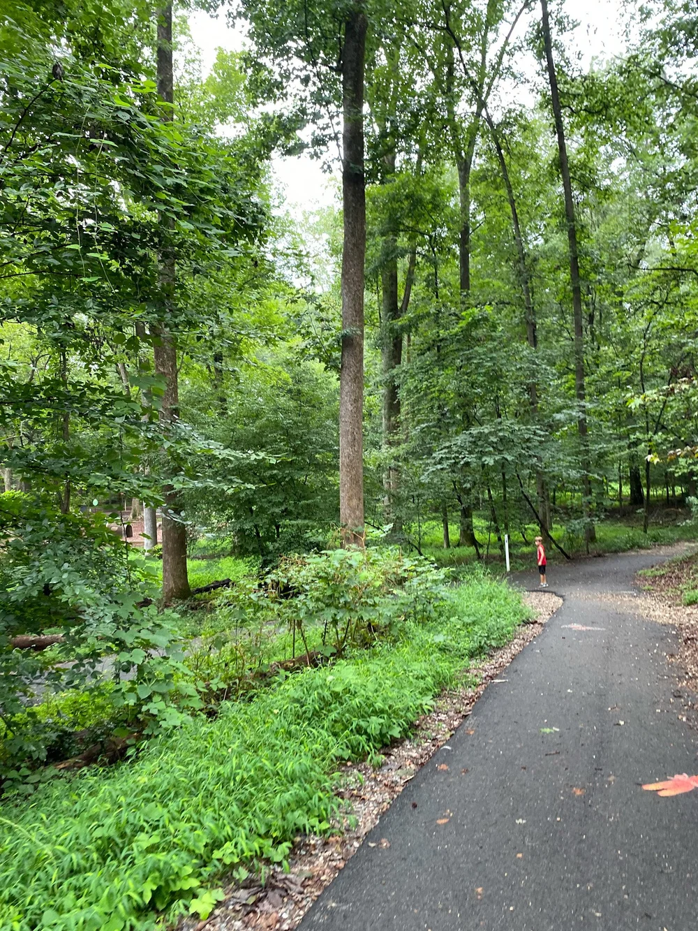 Guide to Dodd Park and Point of Rocks in Chesterfield, VA — Virginia ...