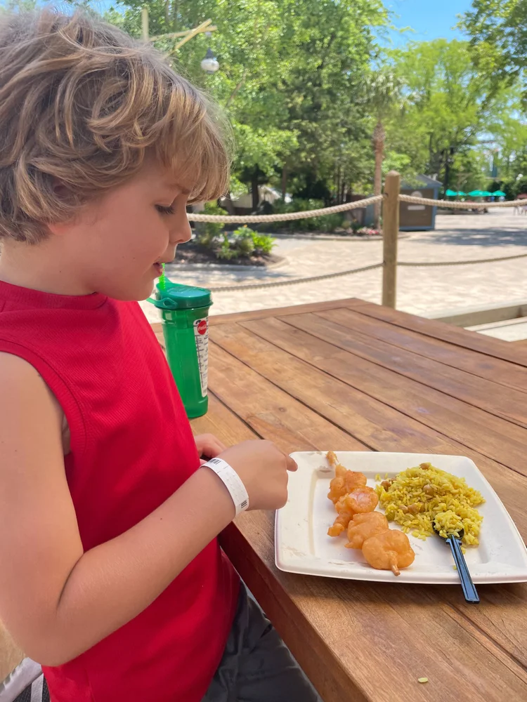 Kings Dominion Dining and Meal Plan Tips: Virginia Park — Virginia ...