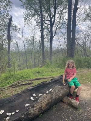 Fun Colonial Historical Henricus Park in Chester, Virginia — Virginia ...
