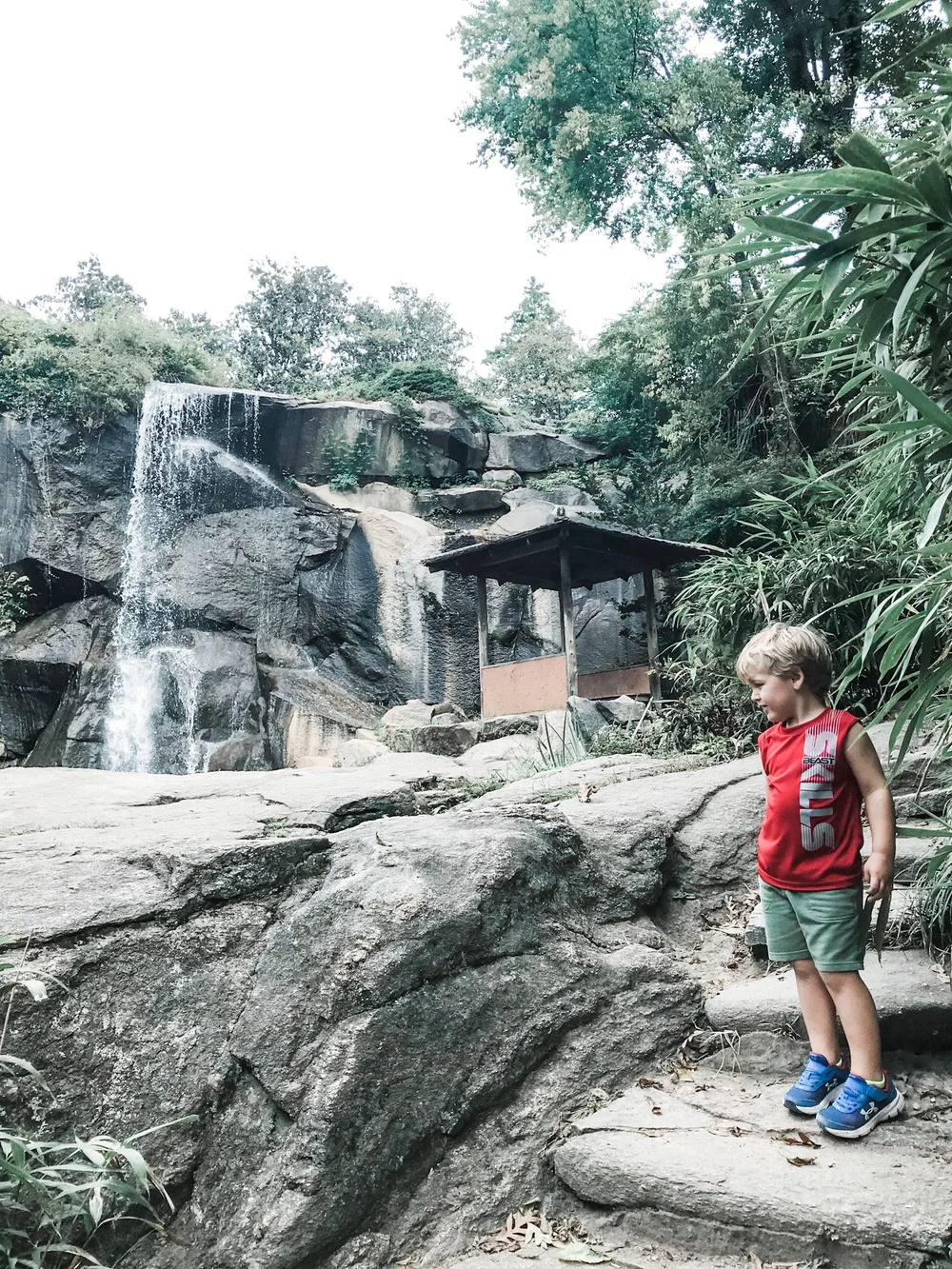 Maymont: Richmond, VA Family Friendly Review — Virginia Family Fun