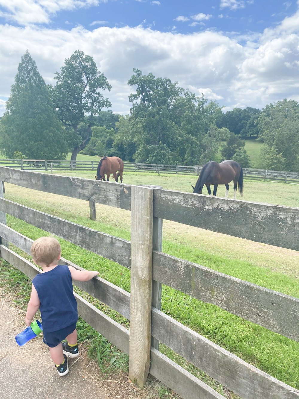 Maymont: Richmond, VA Family Friendly Review — Virginia Family Fun