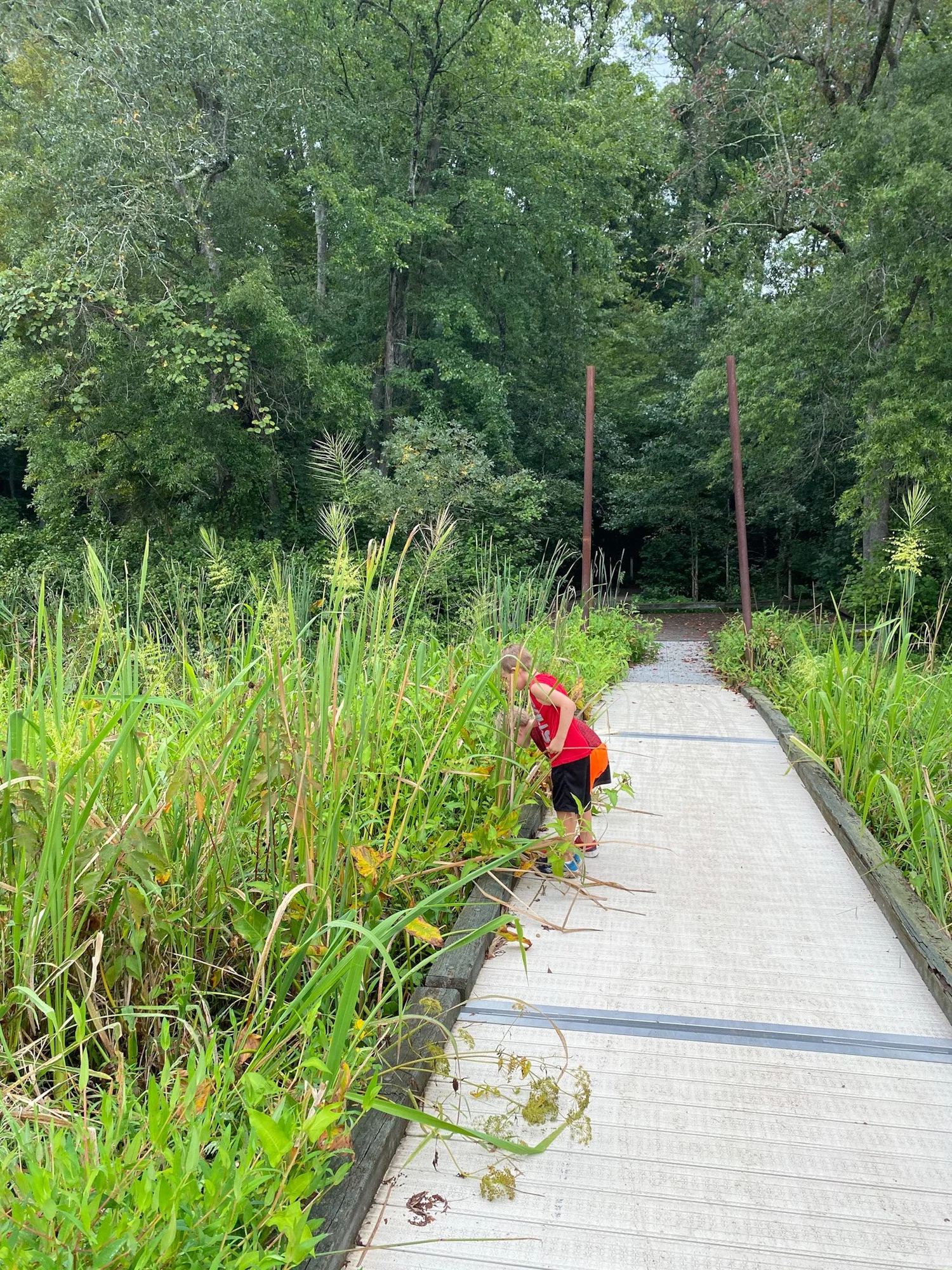 Guide to Dodd Park and Point of Rocks in Chesterfield, VA — Virginia ...