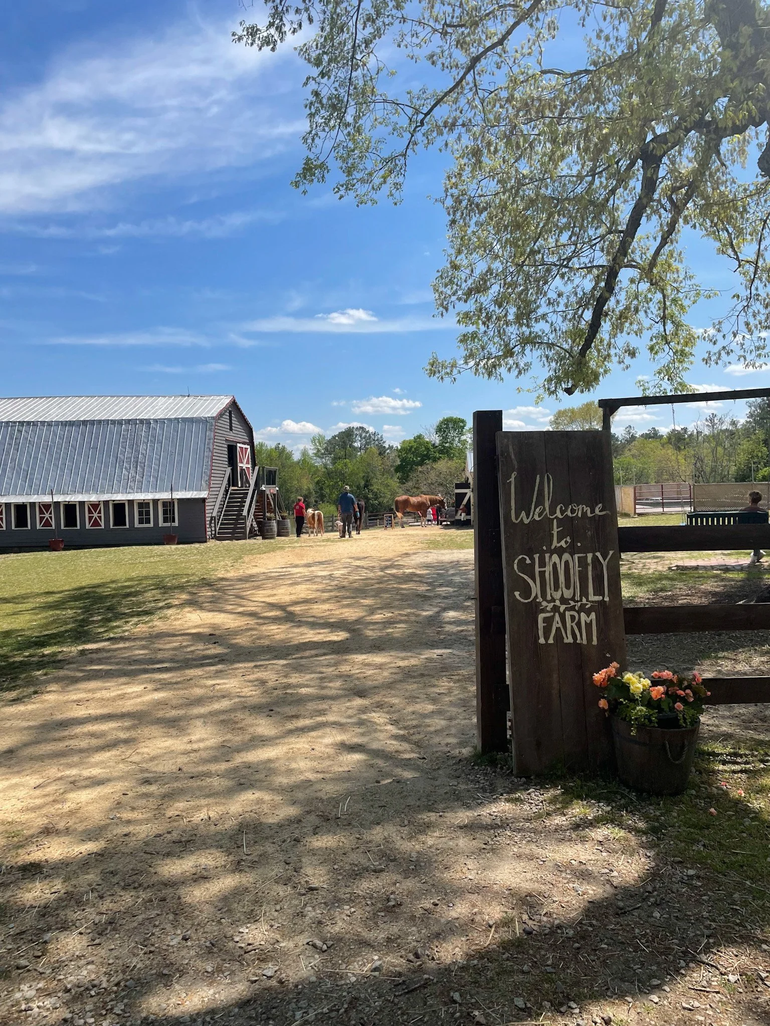 Shoofly Farm in Chester, Virginia: Must visit in RVA — Virginia Family Fun