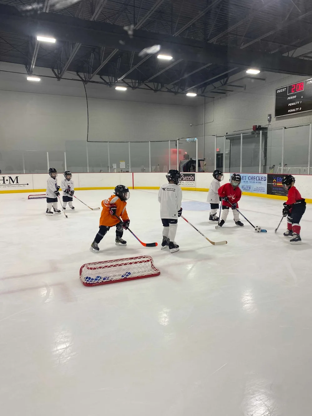 Learn to Play Hockey: Future Caps Program in Virginia — Virginia Family Fun