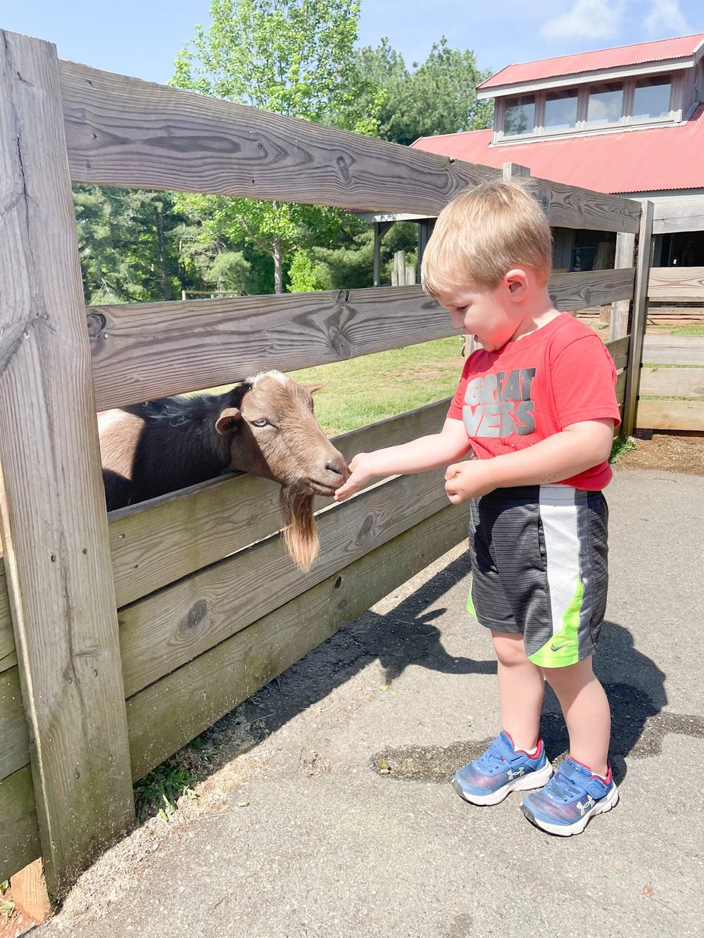 Maymont: Richmond, VA Family Friendly Review — Virginia Family Fun