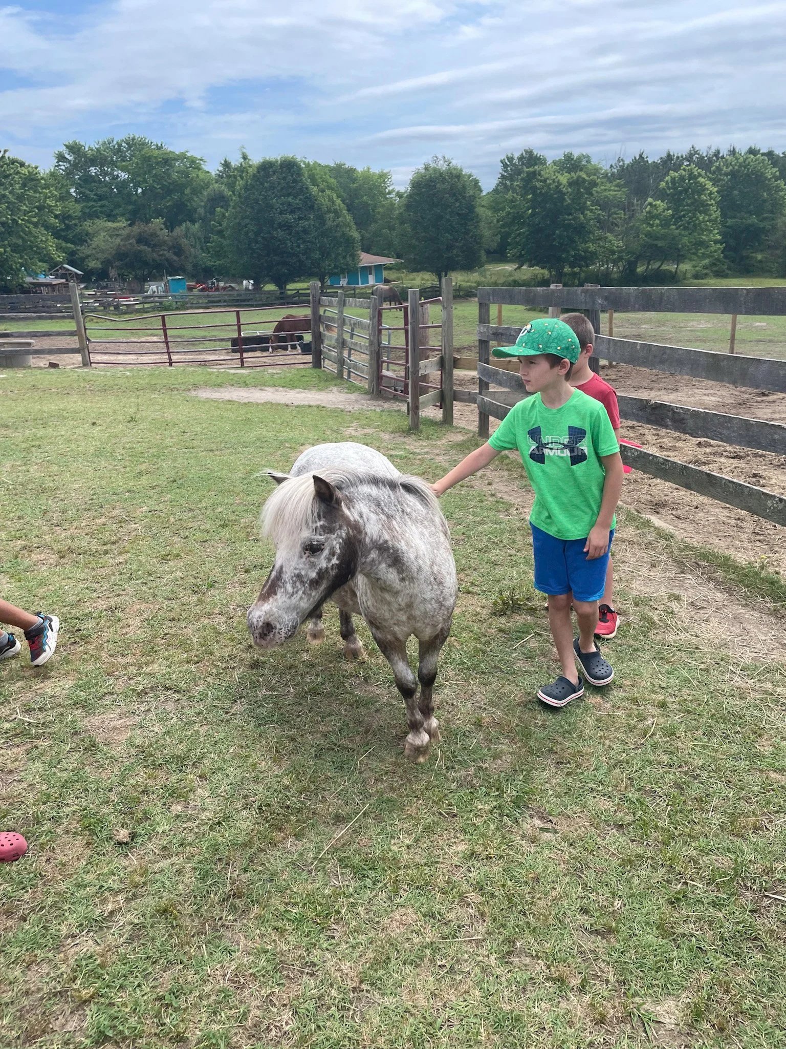 Shoofly Farm in Chester, Virginia: Must visit in RVA — Virginia Family Fun