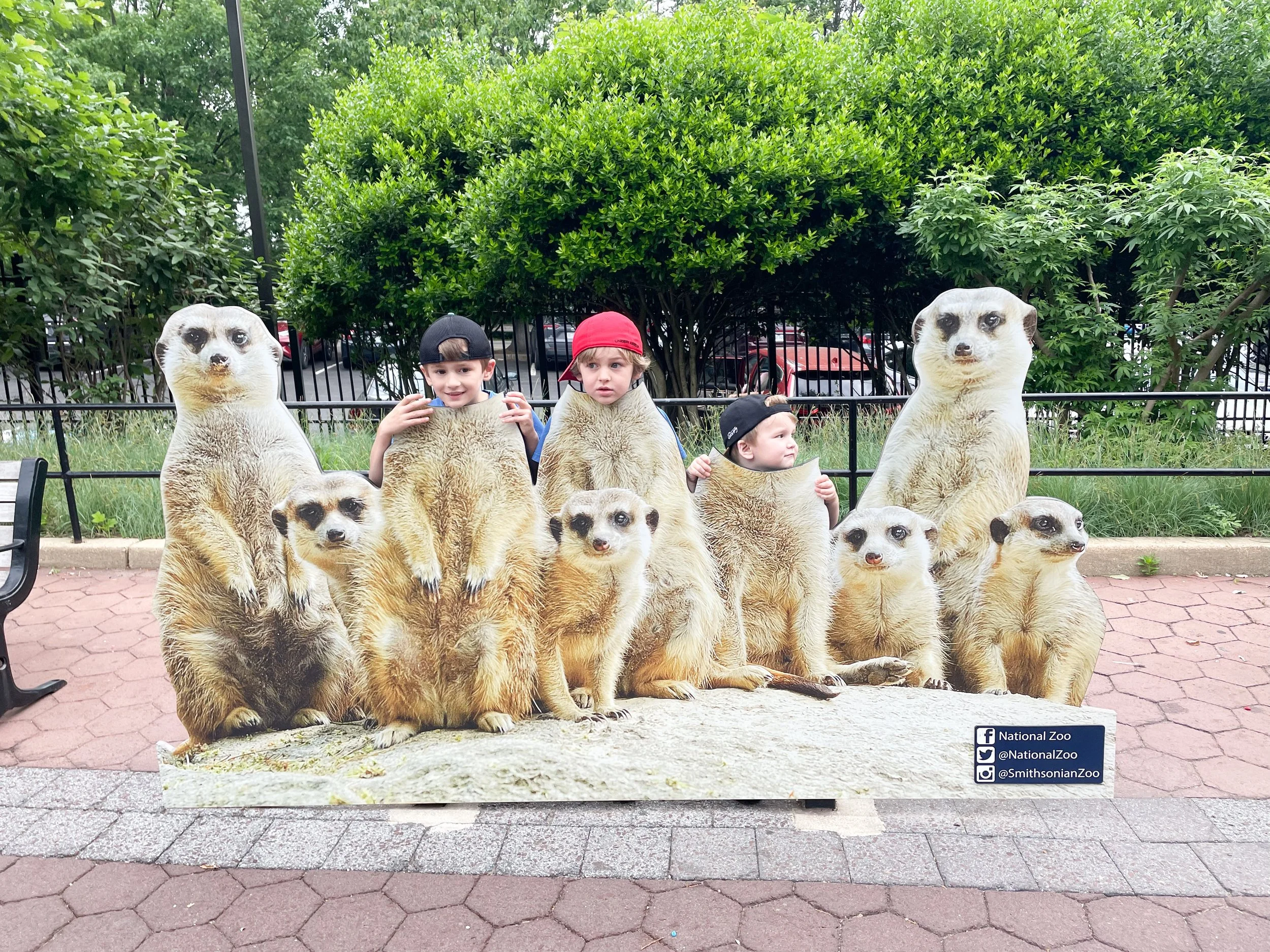 Ultimate Summer Washington DC Top Things to Do Guide — Virginia Family Fun