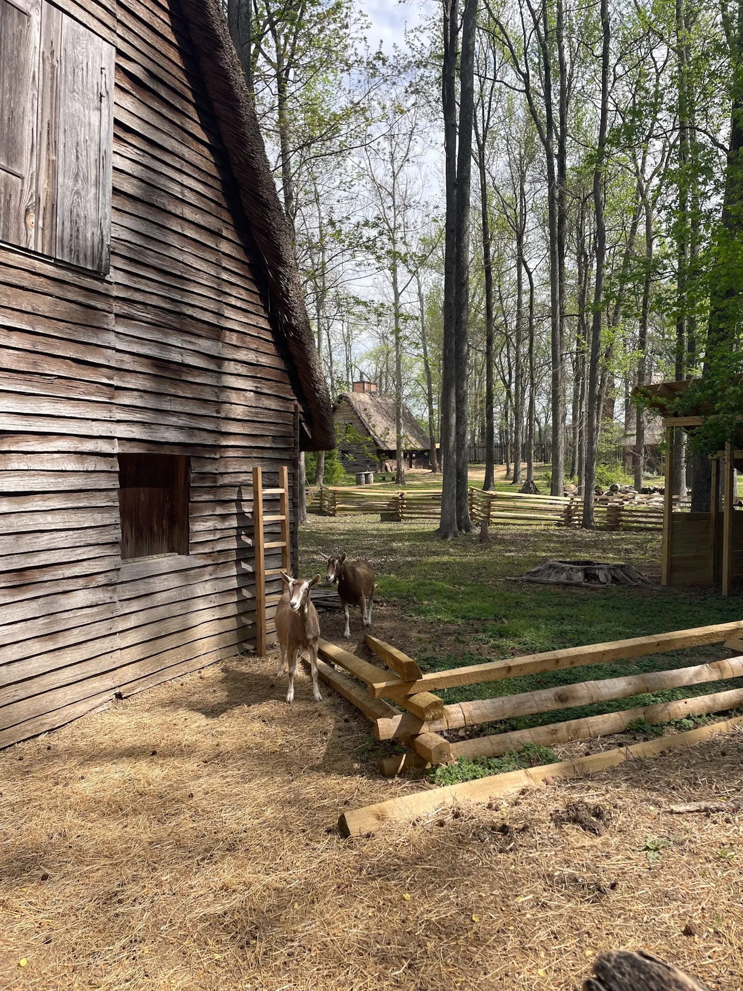 Fun Colonial Historical Henricus Park in Chester, Virginia — Virginia ...
