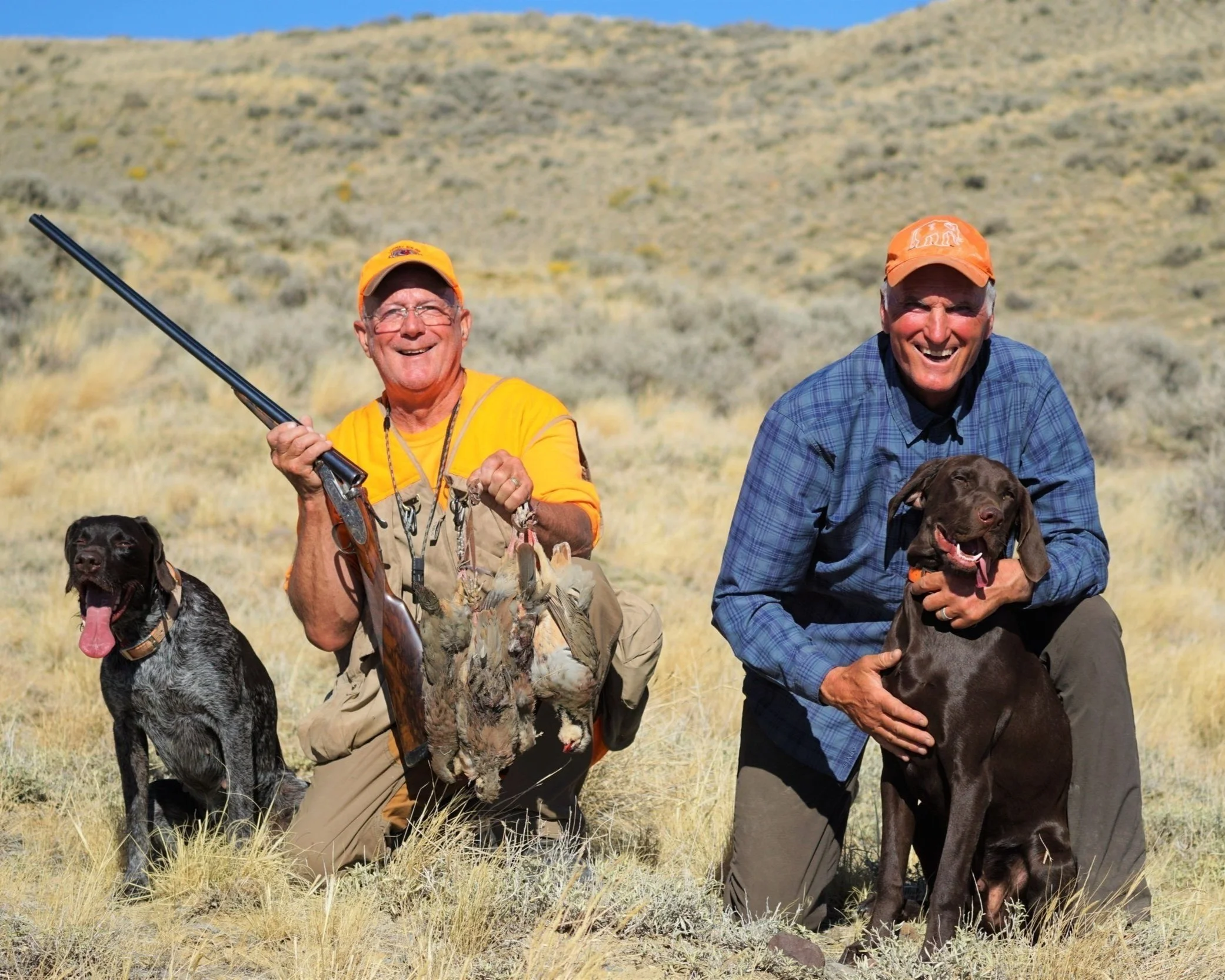 Upland Wingshooting | Guided Hunts | Wyoming Wings and Waters | Cody ...