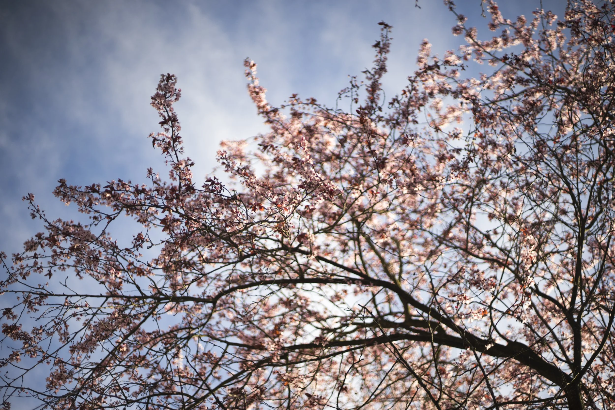 STUDIO CLASSES — EMERALD CITY DRAMA CLUB