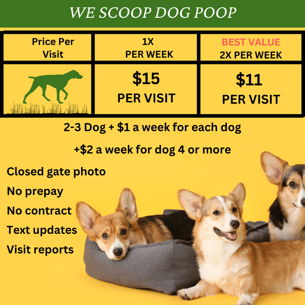 The Green Hound Poop Scoopers of Cape Coral