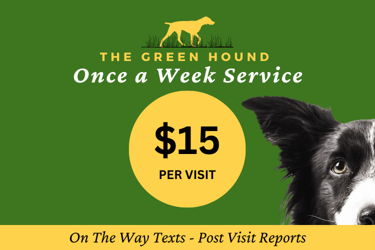 Cape Coral Dog Waste Removal | The Green Hound Poop Scoopers