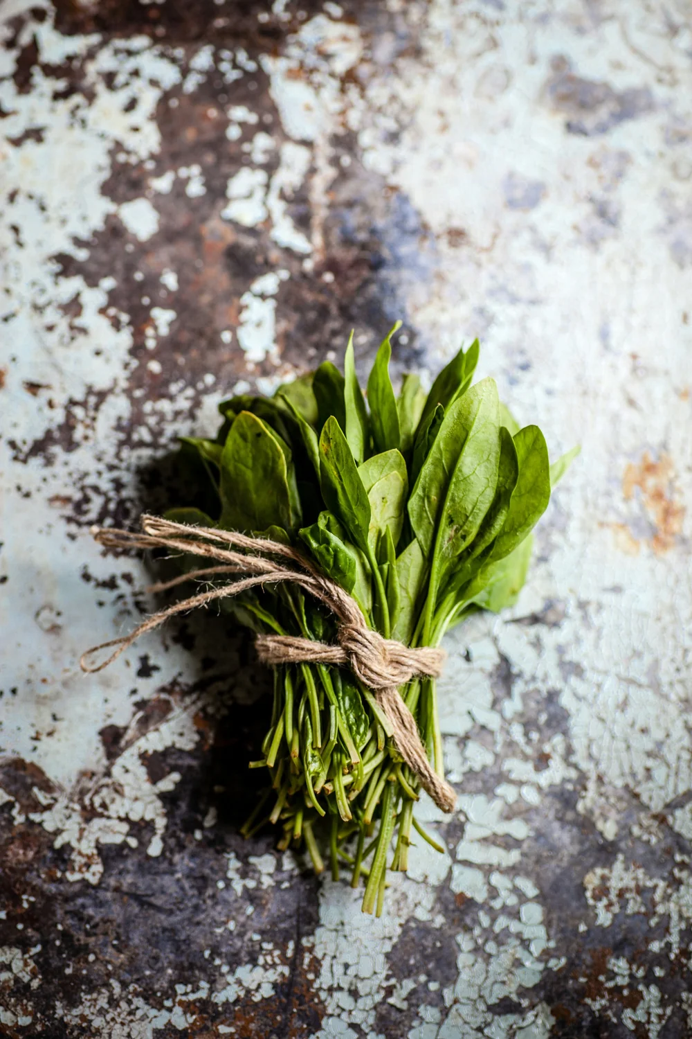 SPINACH AND IRON: A TALE OF TWO MYTHS — Museum of Failure
