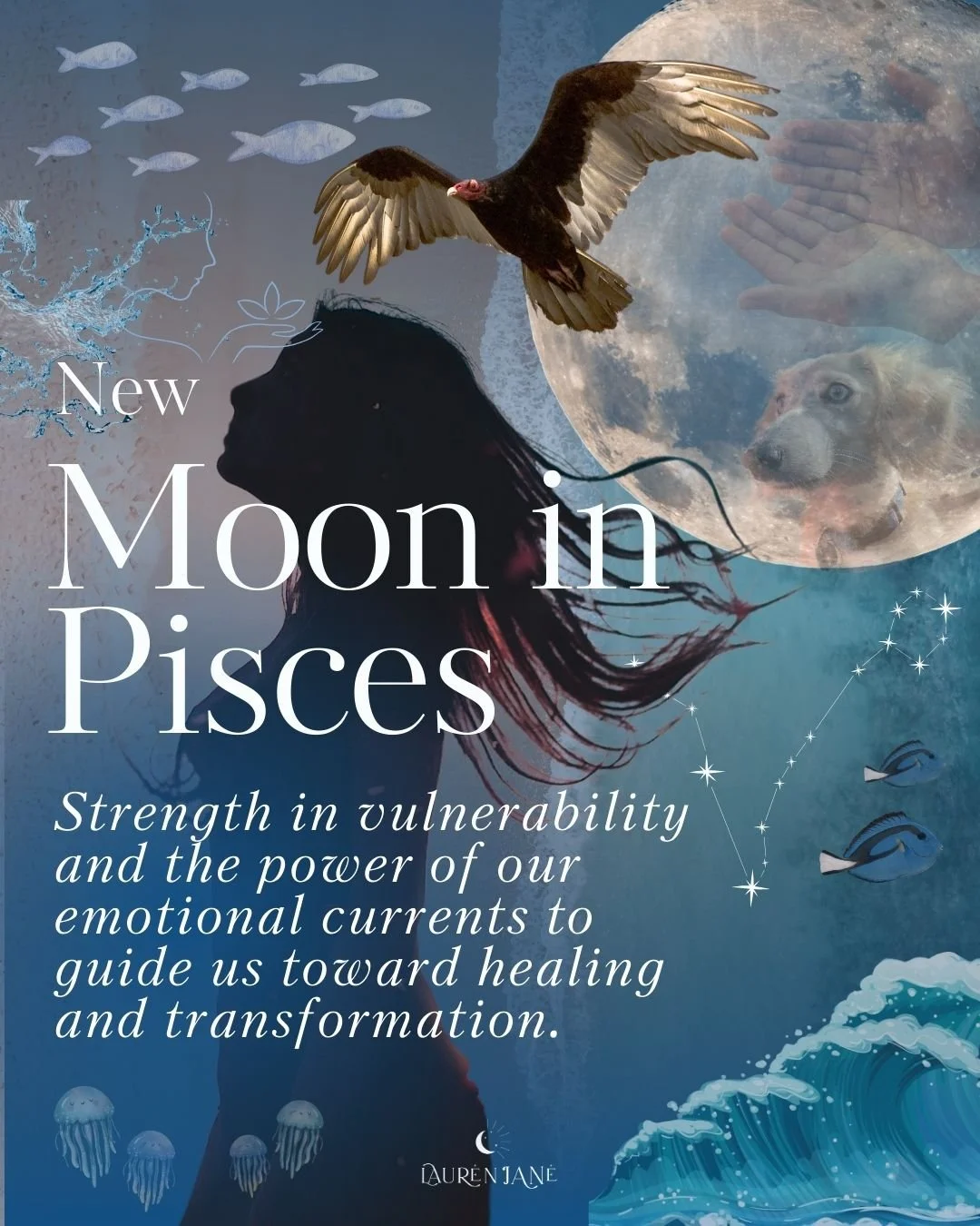 The Pisces New Moon — Lauren Jane | Soul Psychologist
