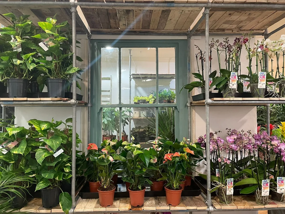 The Greenhouse - Gardening and Gifts in the heart of Aberdeen