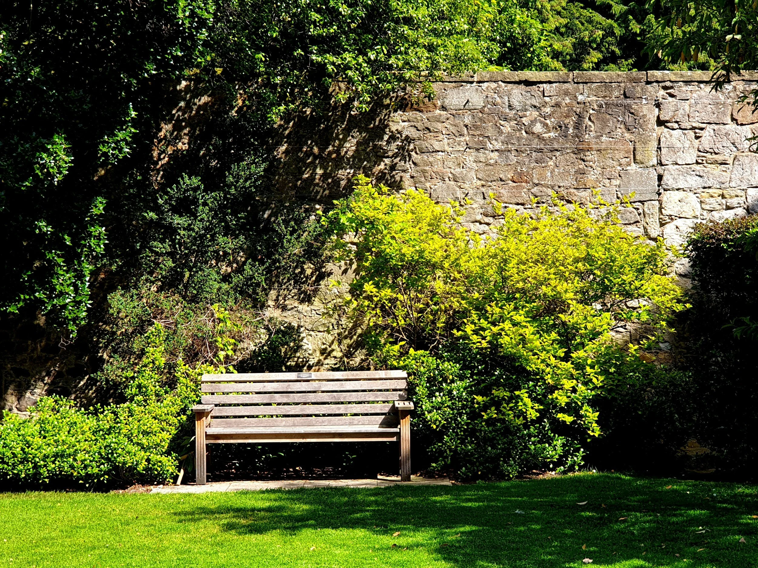 The Greenhouse - Gardening and Gifts in the heart of Aberdeen