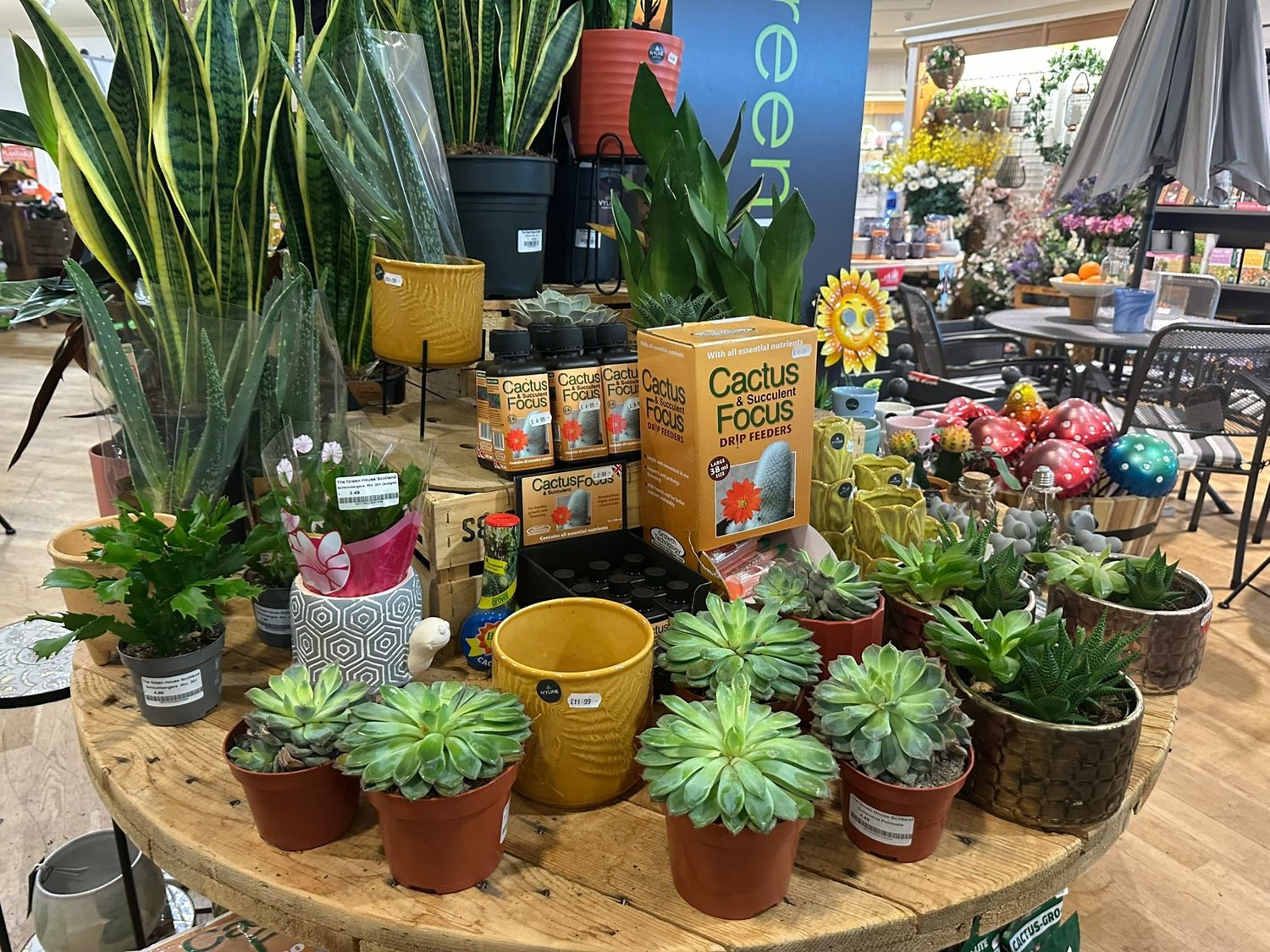 The Greenhouse - Gardening and Gifts in the heart of Aberdeen