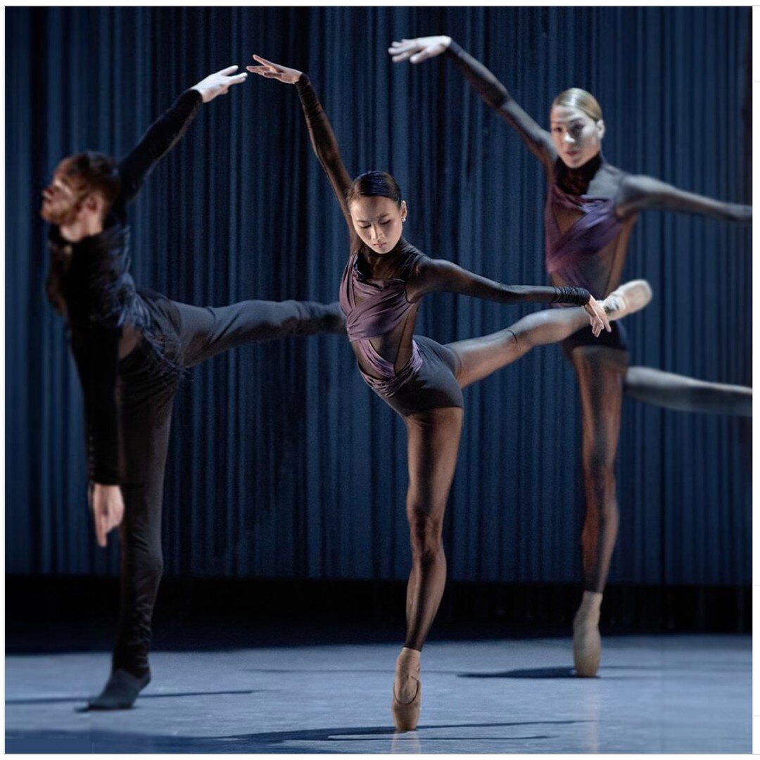 News & Noteworthy — STRINGenius