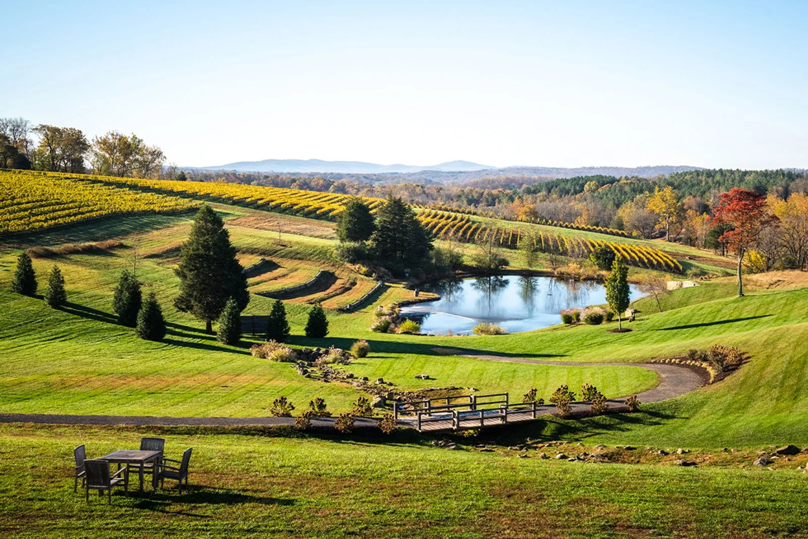 Loudoun Invasive Removal Alliance