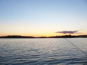 Contact — O'Sullivan's Rainbow