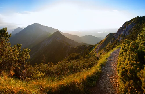Eagle Rock Hiking Trails: Exploring Nature's Beauty — City Limits