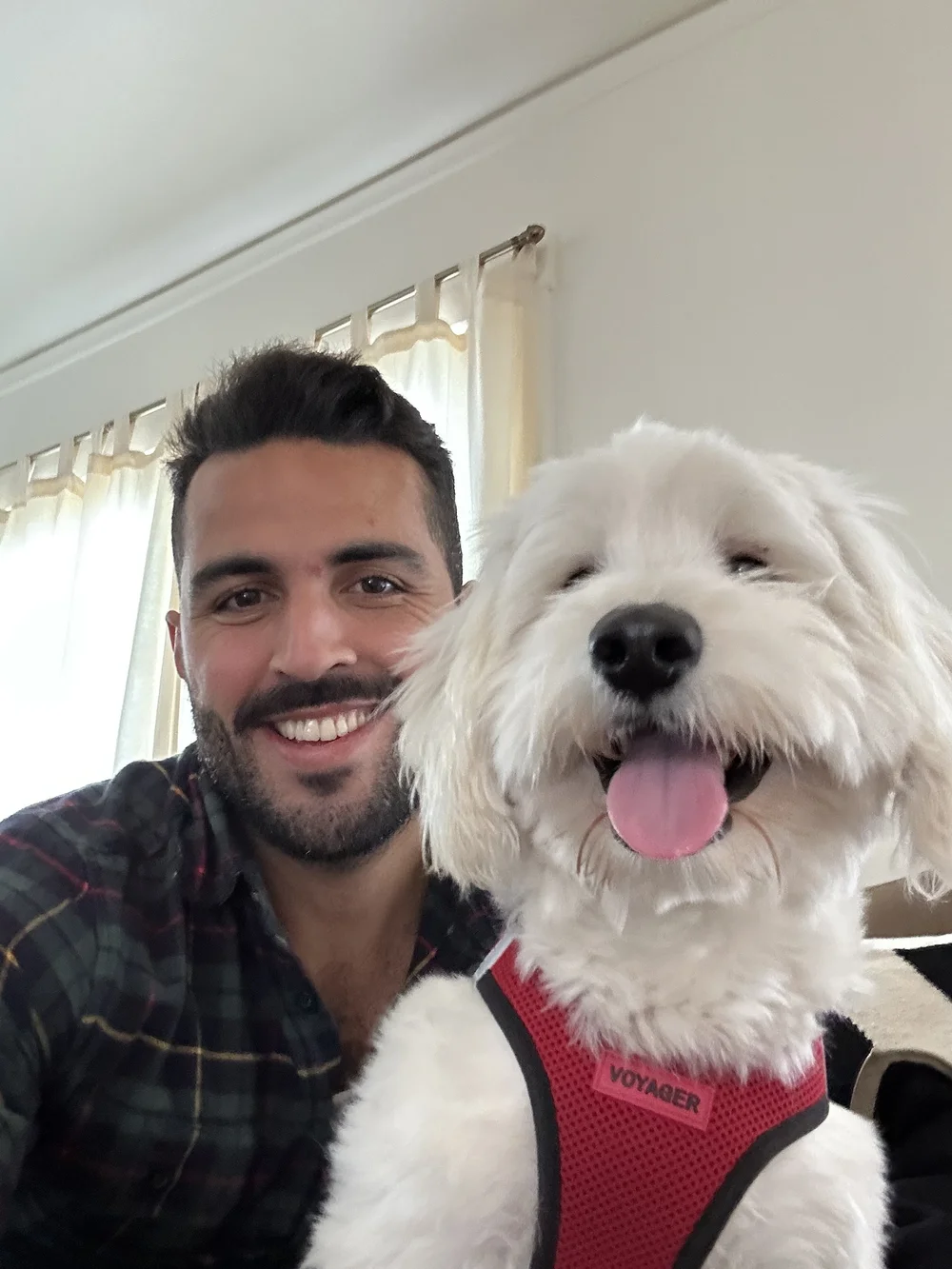 About Pets Are My People about-pets-are-my-people