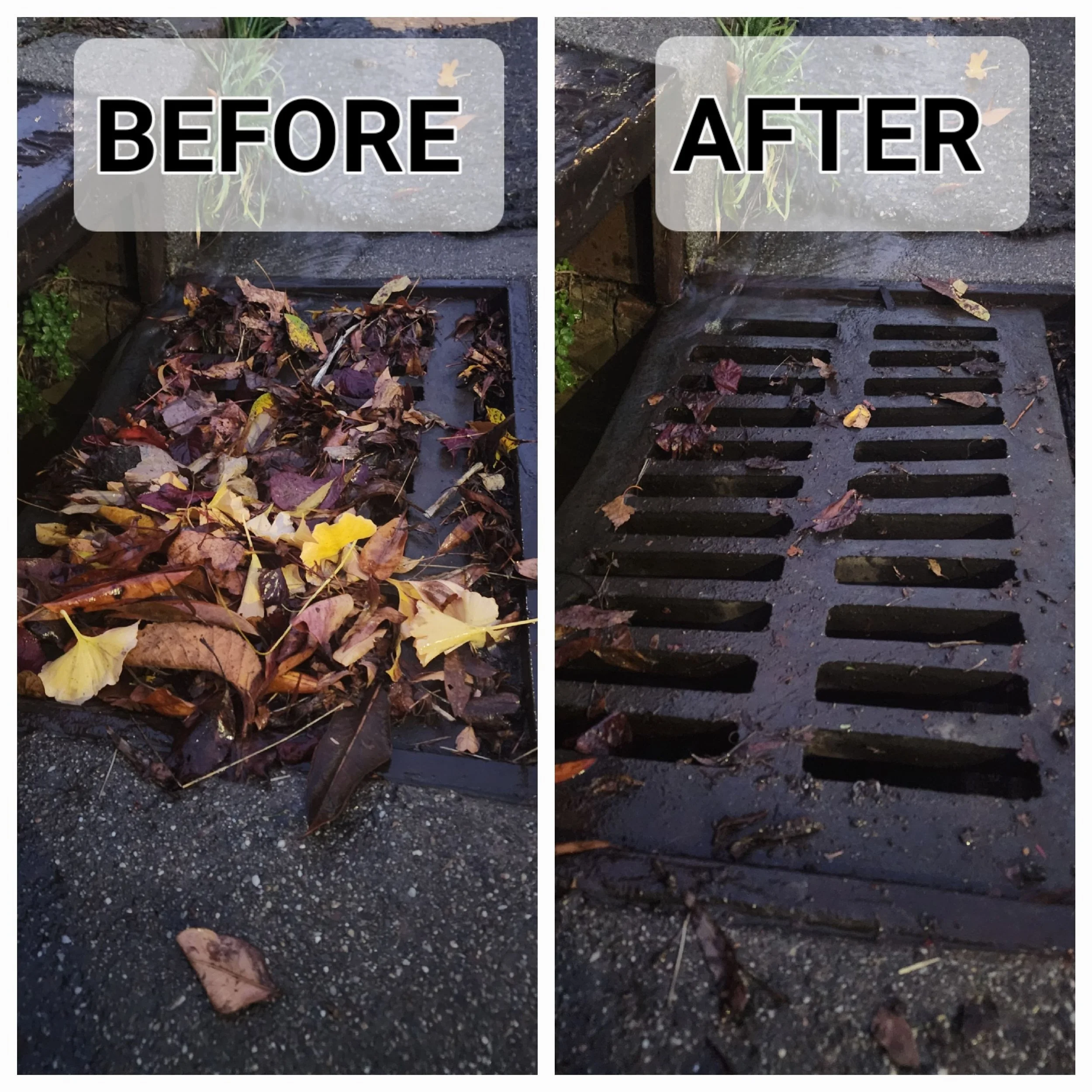 Adopt-A-Drain Today! — Maxwell Park Neighborhood Council
