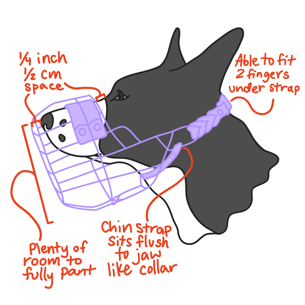 Muzzle Fitting Info — Big Snoof Dog Gear