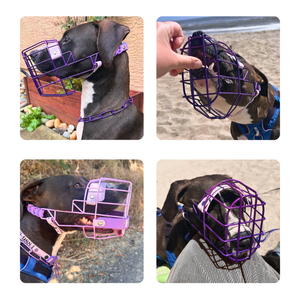 Muzzle Fitting Info — Big Snoof Dog Gear