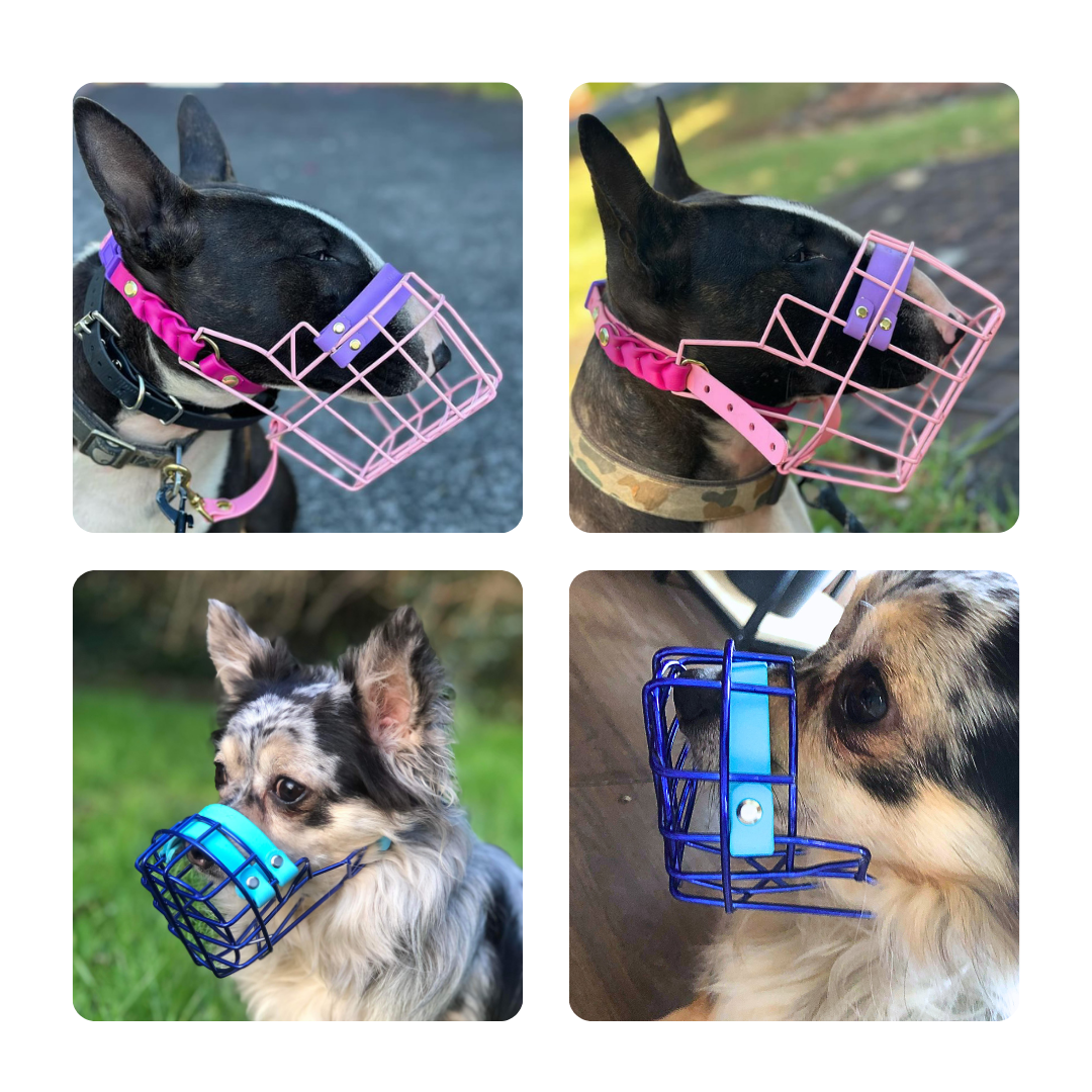 Muzzle Fitting Info — Big Snoof Dog Gear