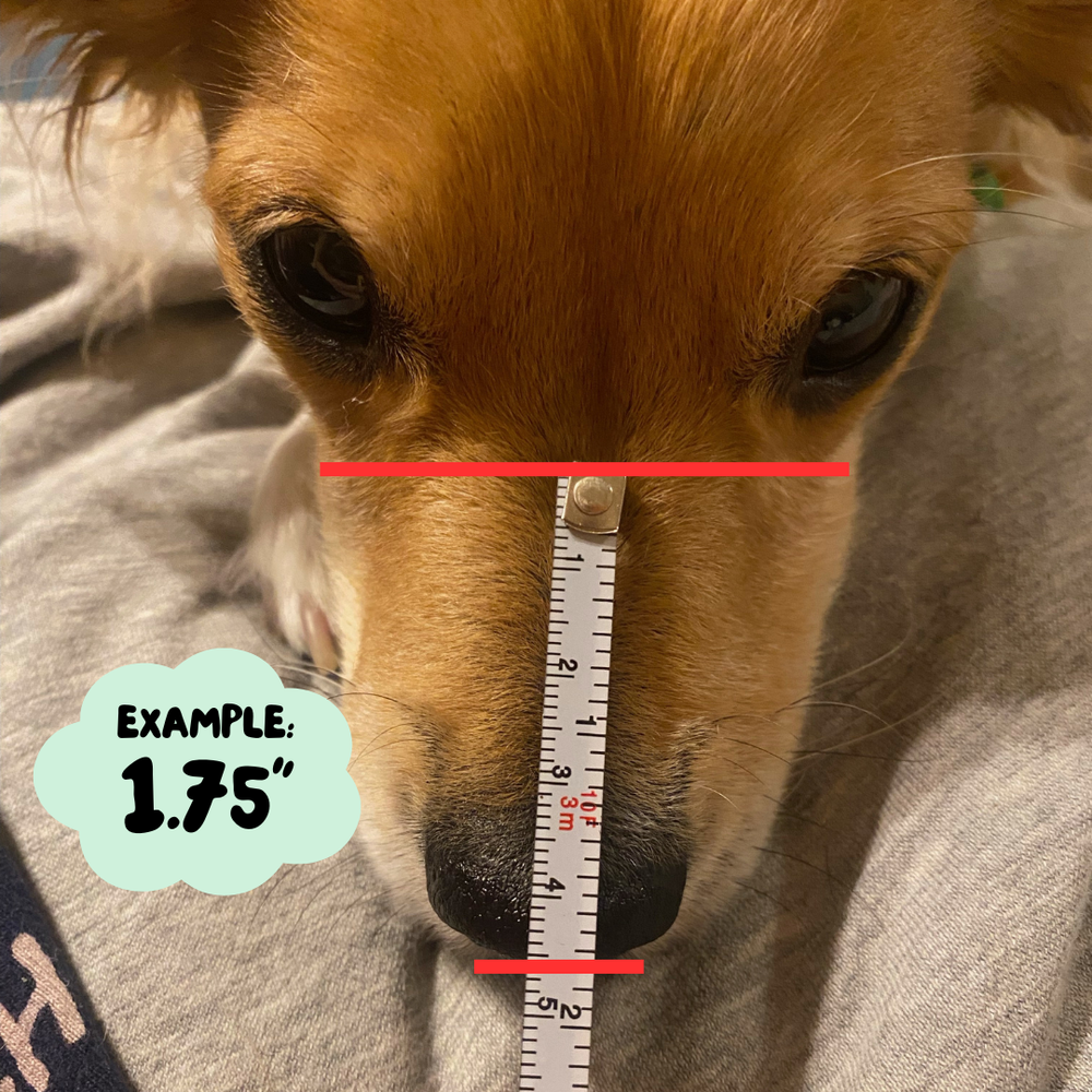 Muzzle Measurements Big Snoof Dog Gear muzzle-measurements-big-snoof-dog-gear