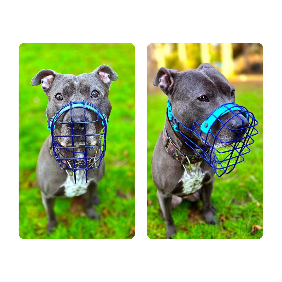 Muzzle Fitting Info — Big Snoof Dog Gear