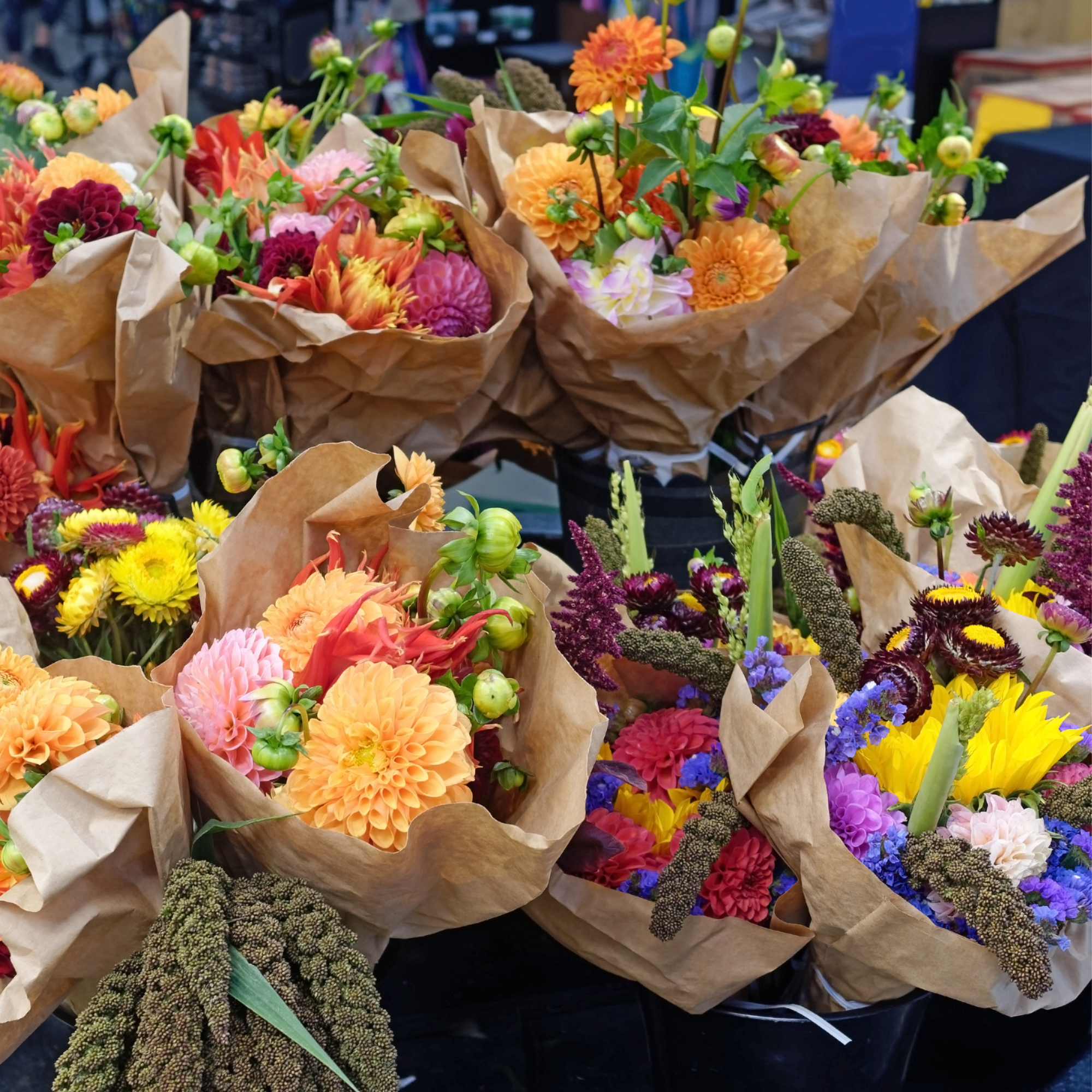 Flower & Herb CSA — Coriander Kitchen